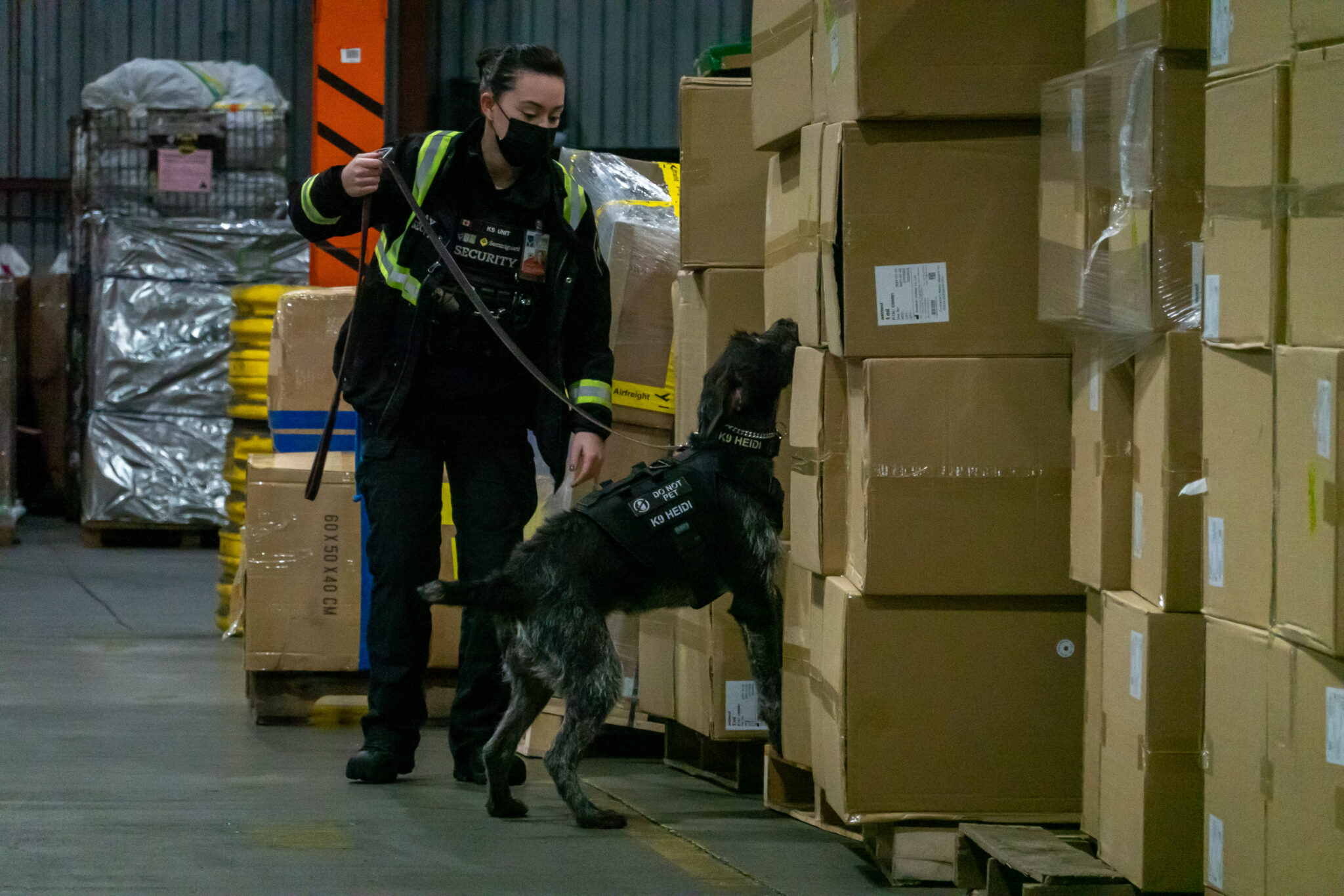 Our Services | Securiguard K9